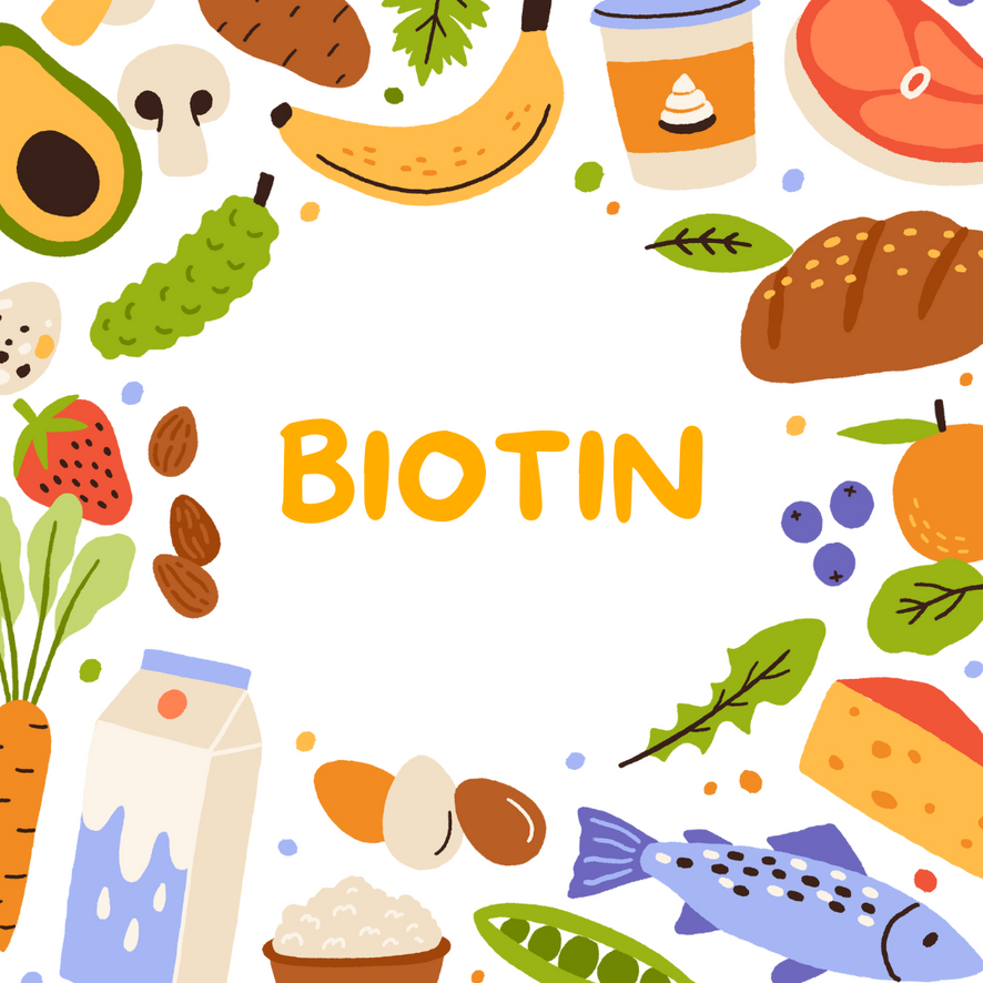 MSM + BIOTIN | Hair Nutrients Blend – Qhemet Biologics